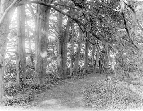 Gayhurst House - The Estate & Landscape